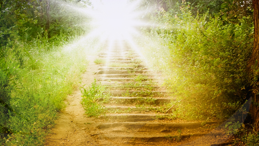 Ejercicio de retrospección para desarrollar la clarividencia